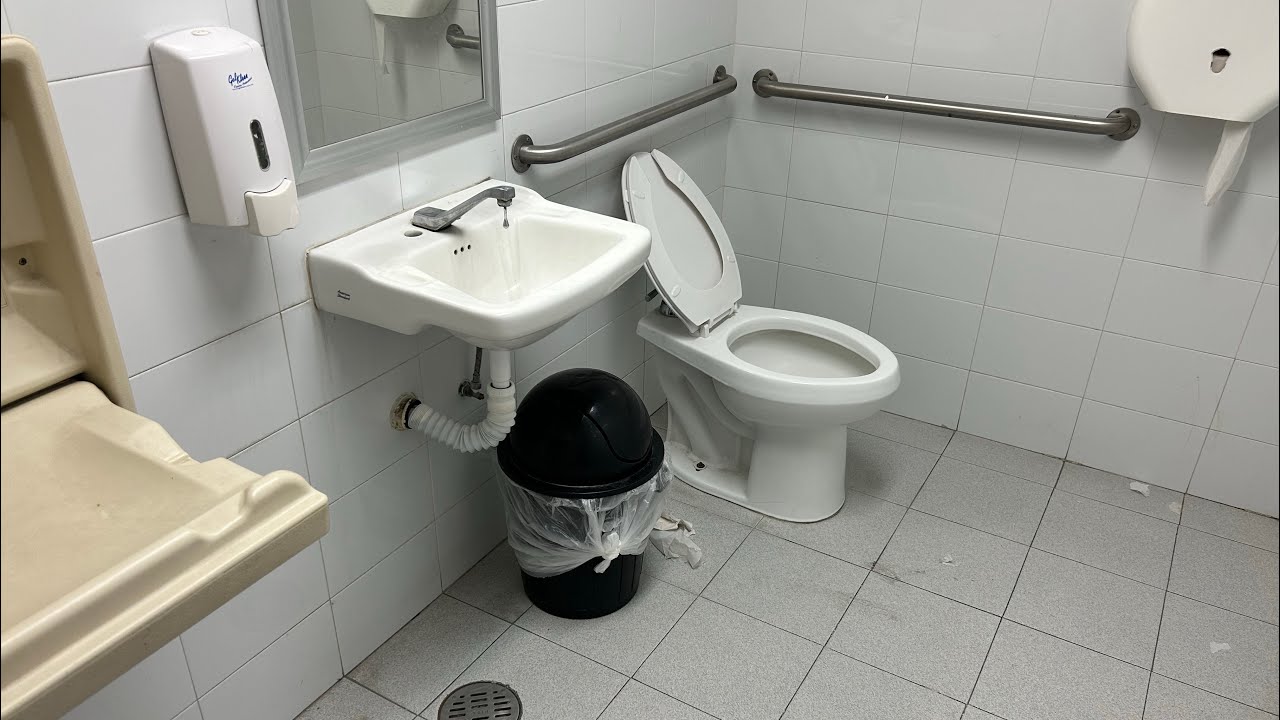 236. 2010s Helvex Tzf Nao Toilet at Bodega Aurrera (Family Restroom ...