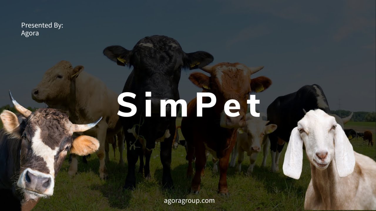 SimPet Mobile App - YouTube