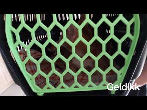 Simba'nın kısa veteriner vlogu
