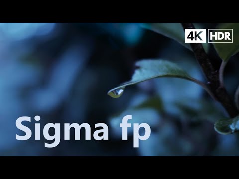 SIGMA fp | Color Grading Test - YouTube