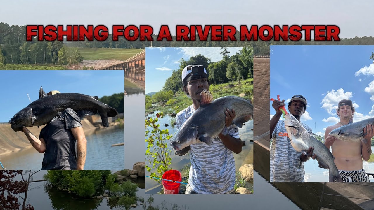 FISHING FOR MONSTER CATFISH ON THE PEE DEE RIVER @fishingwithbigjay ...