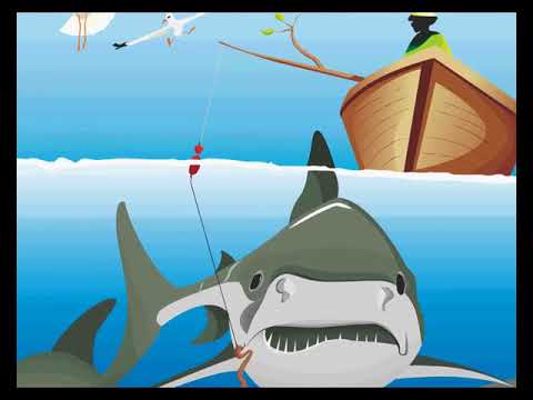ANIMATION REQUIN - YouTube