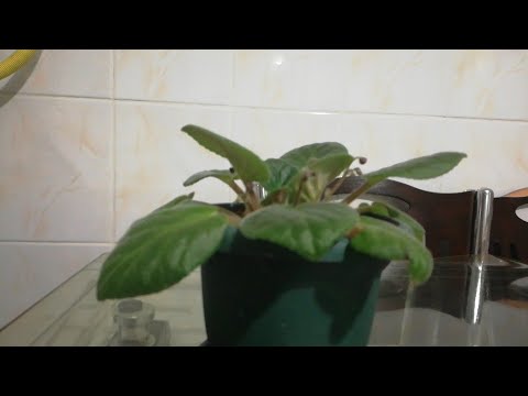 Live video 23 Ara 2019 23:00:23