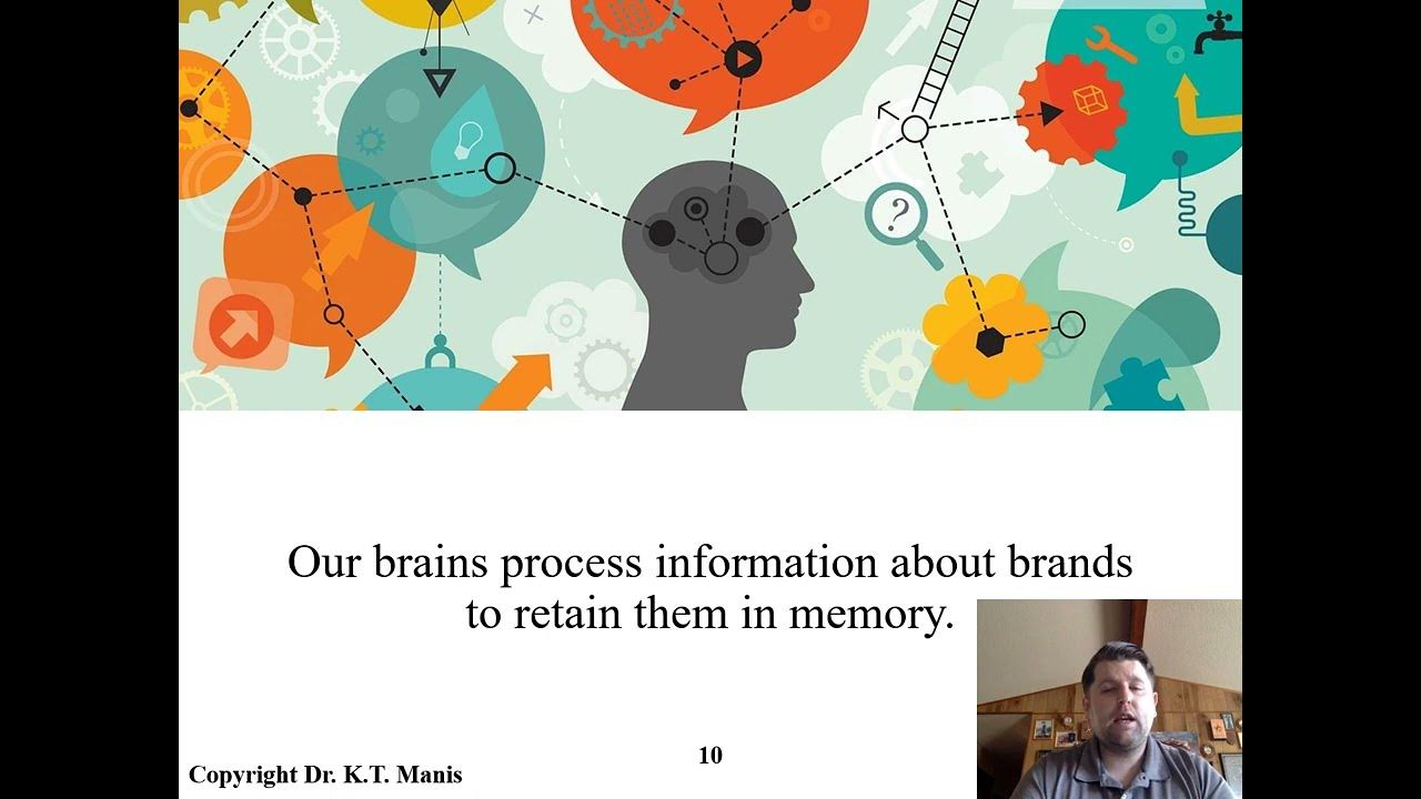 Introduction to Learning and Memory: Part II - YouTube