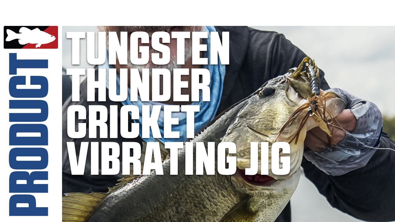 Bringing the Thunder (Cricket)! Menendez Talks Strike King Tungsten ...