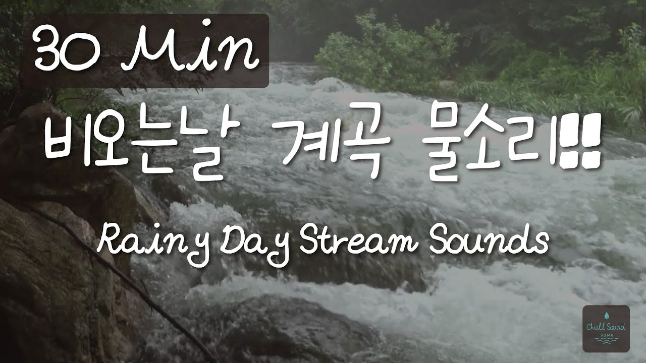 [30분] 비오는날 계곡 물소리!! – ChillSound ASMR | Relax · Sleep · Focus - YouTube