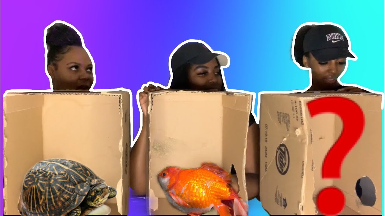 WHAT’S IN THE BOX CHALLENGE! (TBT CHALLENGE) - YouTube