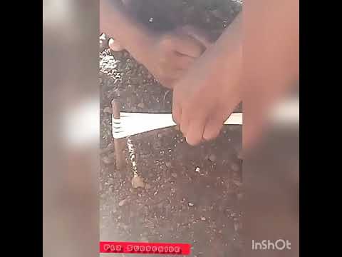 how to make a cast net at home🏠 last part