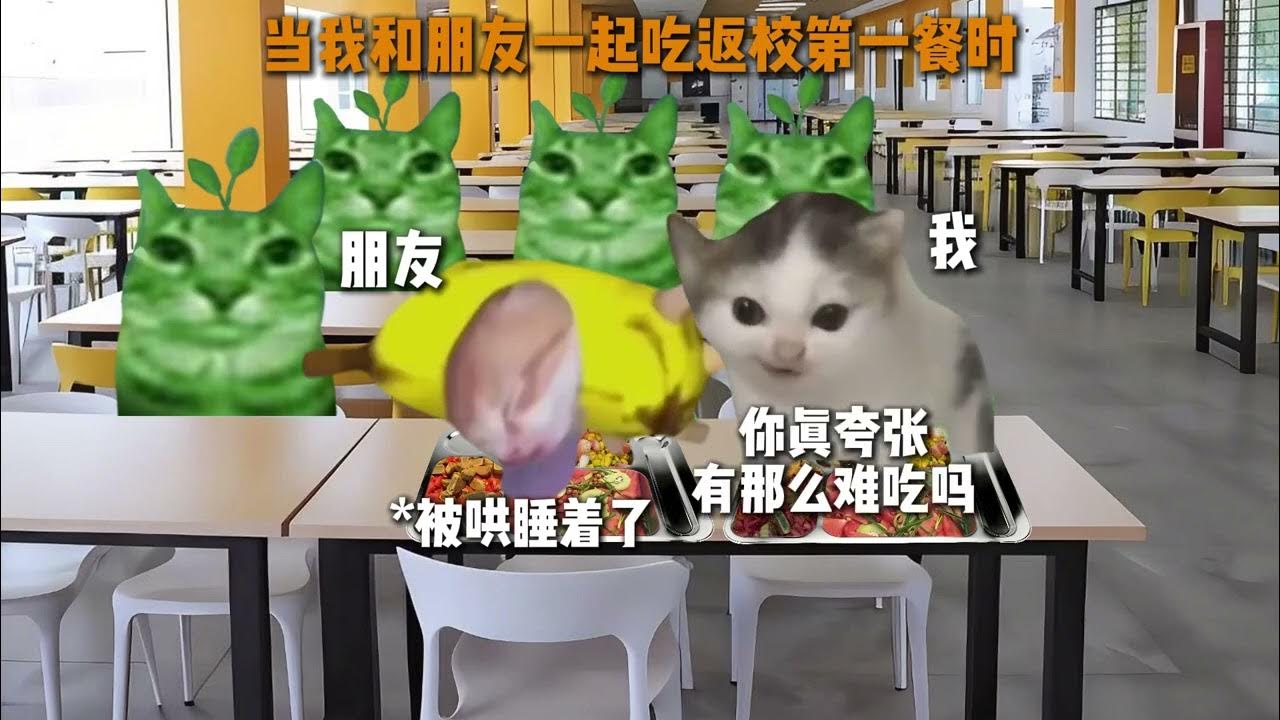 【猫meme】“当我和朋友一起吃返校第一餐时” #猫meme #猫meme小剧场 #cat #搞笑 #meme #memes #真实还原 ...