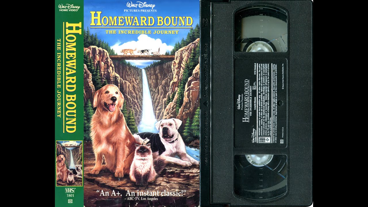 Opening to Homeward Bound: The Incredible Journey (US VHS; 1993) - YouTube