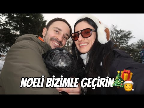 BU NASIL TATİL!?🥶 Maymuş'la Dağa Kaçırıldık😂 Evde İlk Noel Kutlaması🎄🎁 | HAFTALIK VLOG