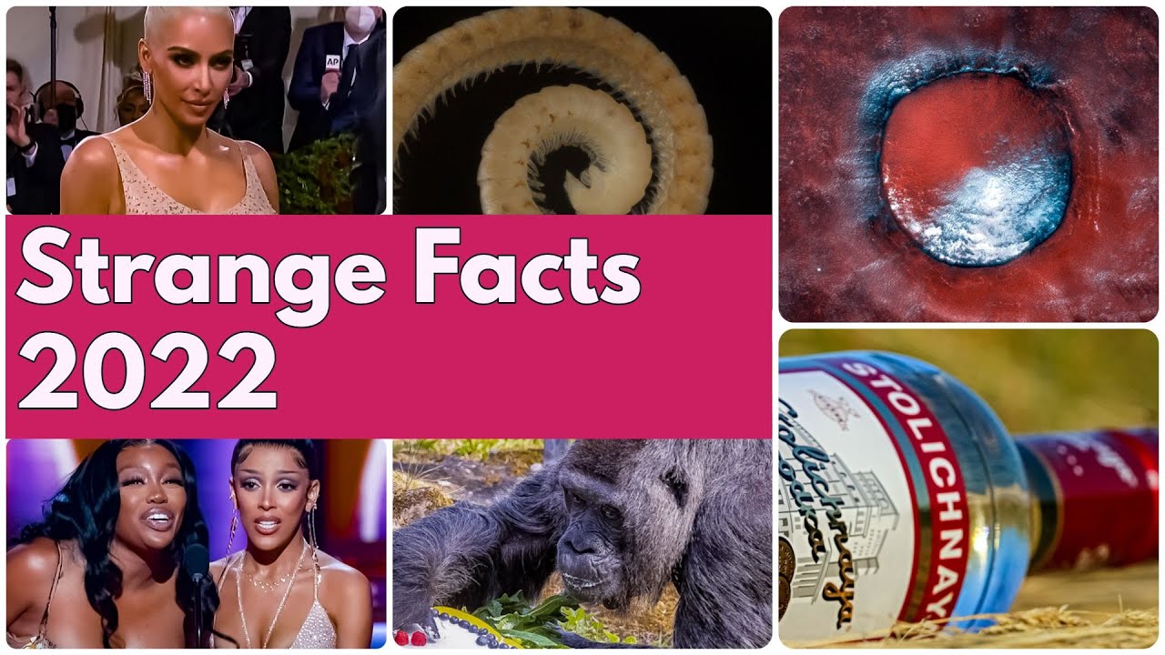 Strange Facts Quiz 2022 | Part I | HowSmart.net - YouTube