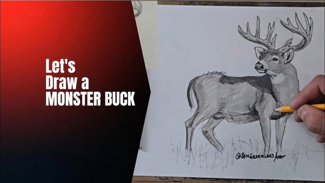 How to Draw a Whitetail Buck - YouTube