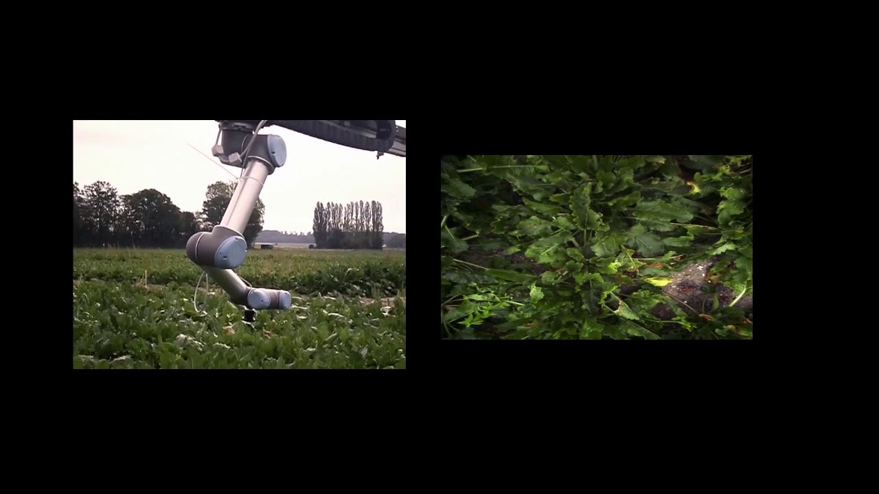 Bettybot, le robot d'expérimentation du Casdar Phenaufol - YouTube