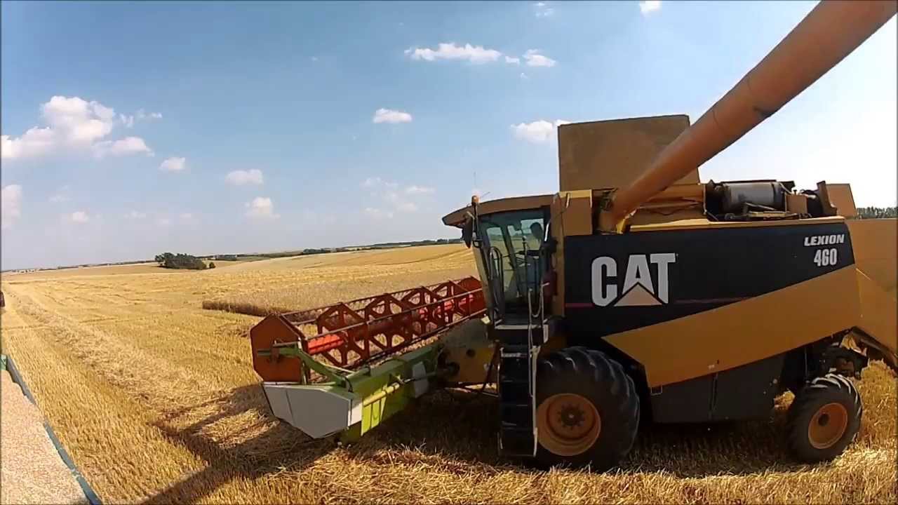 Żniwa 2013 - CAT Lexion 460 V660 (Claas) harvest Gopro - YouTube