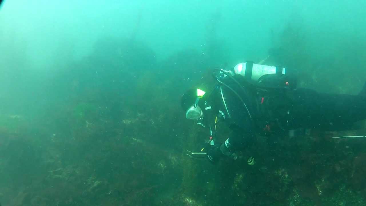 Scuba diving Olympic Sculpture Park in Downtown Seattle (20 ft) - YouTube