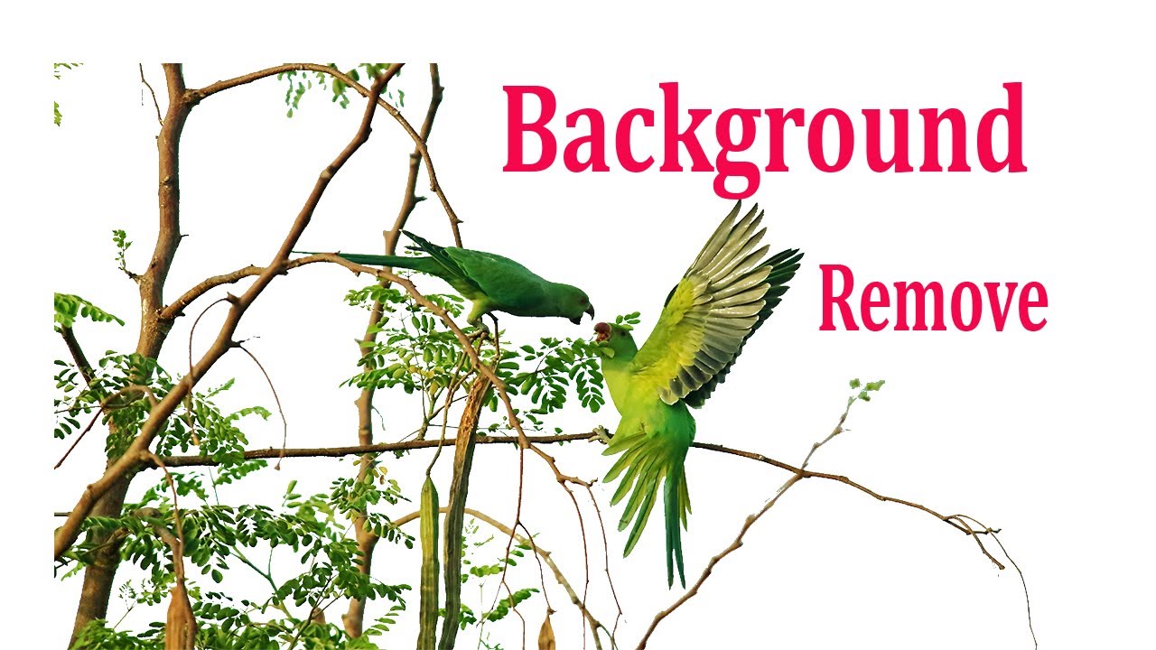 Remove Background Photoshop How To Remove Background In Photoshop remove-background-photoshop-how-to-remove-background-in-photoshop