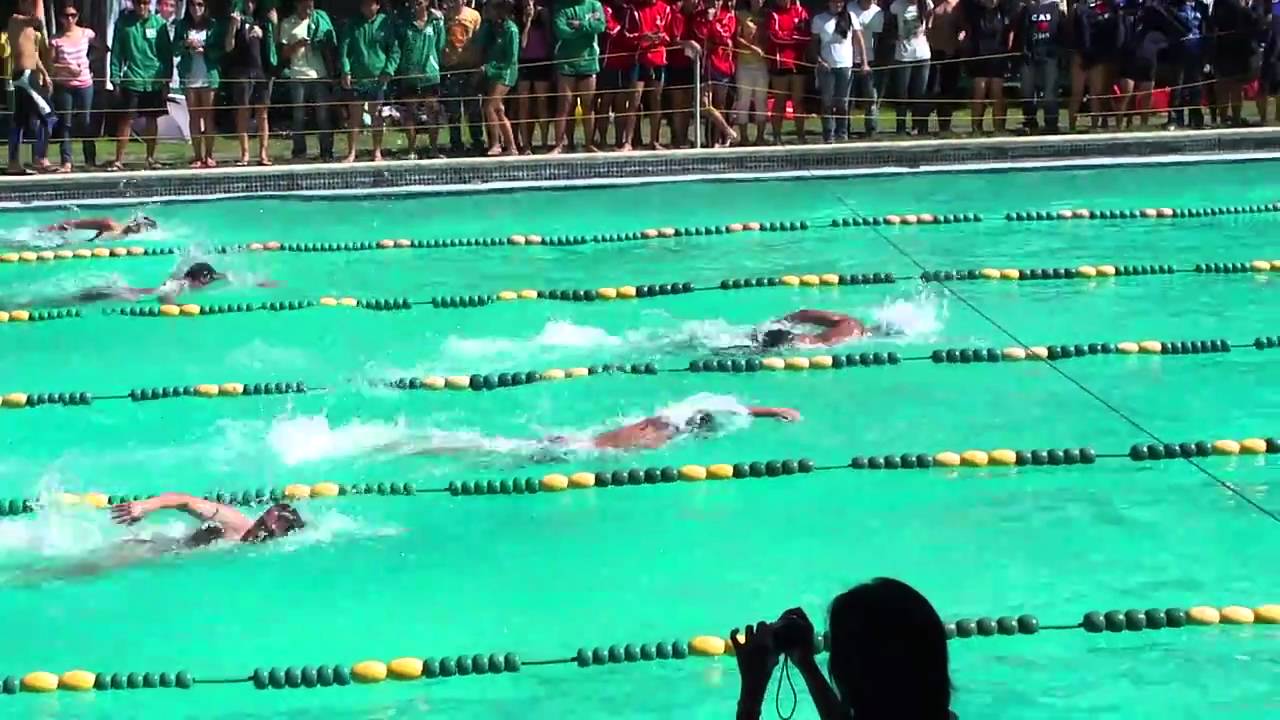 USC Intramurals 2010 - Swimming Event Freestyle MEN - YouTube