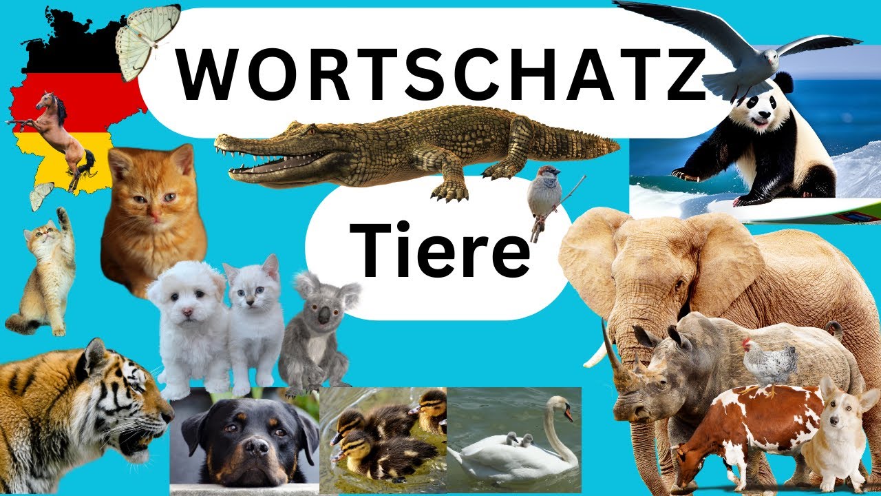 Wortschatz "Tiere" | Deutsch lernen learning german 100 Vokabeln ...