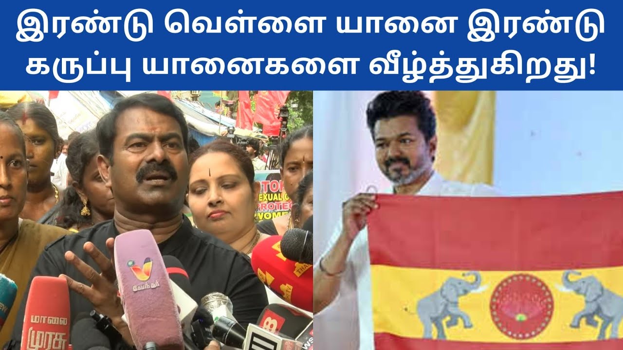 TVK Flag Issue: Seeman Speech About TVK Vijay Politics | Politics Today ...