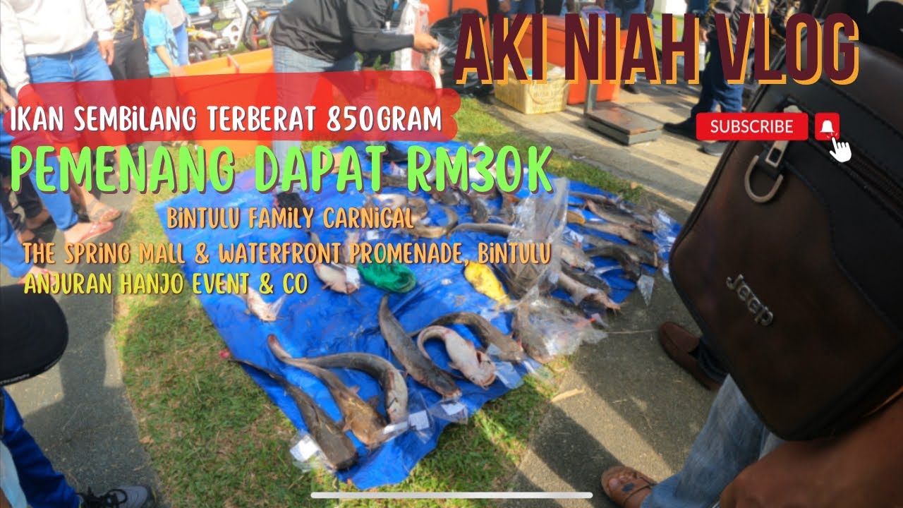 Ikan Sembilang Terberat 850gram, Pemenang membawa pulang RM30K || Bintulu Family Carnival - YouTube