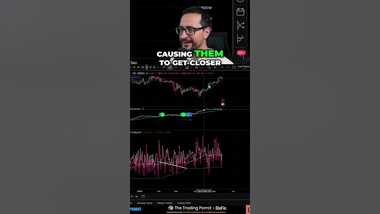 Bitcoin Hash Ribbons: Capitulation Signal Warning?! - YouTube