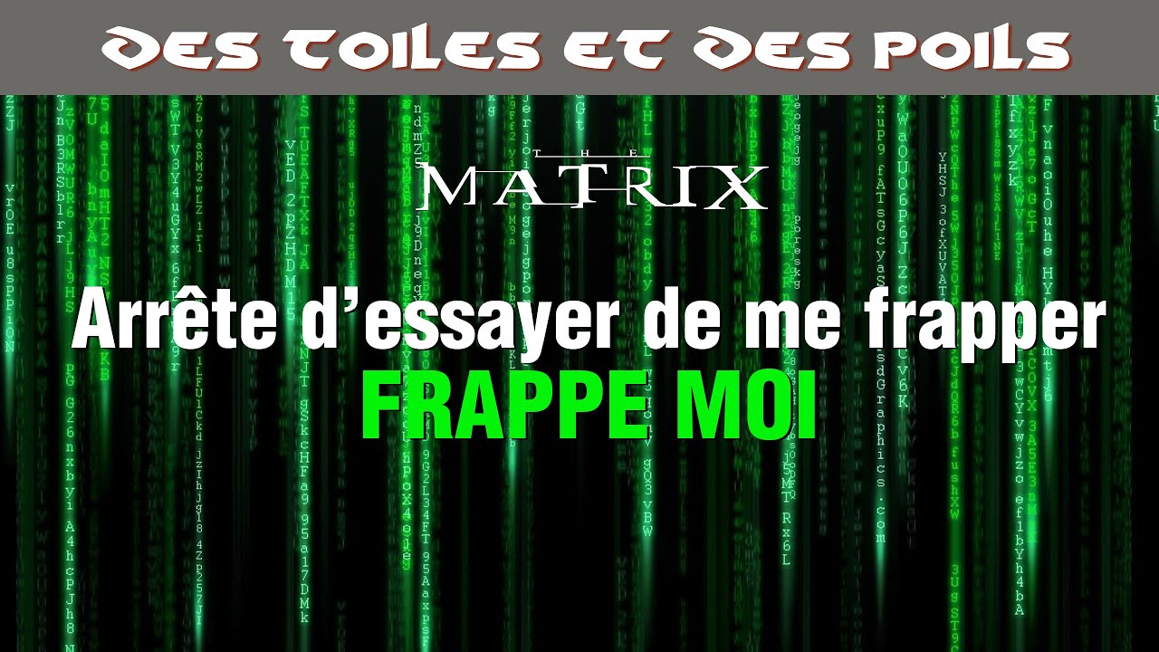 Matrix, La Trilogie - Cyberpunk & Dystopie - critique - YouTube