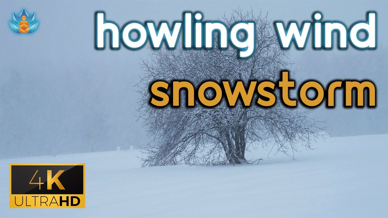 Blizzard Snow Storm Wind Sounds for Sleeping: Howling Wind and Snow ...