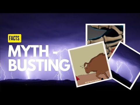 Myth -Busting facts in tamil/Myth Busters #facts #mythbusters #trending ...