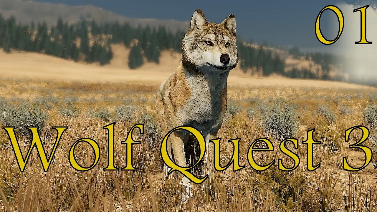 WOLFQUEST 3 #01 Wir entdecken die Welt neu [WolfQuest: Anniversary ...