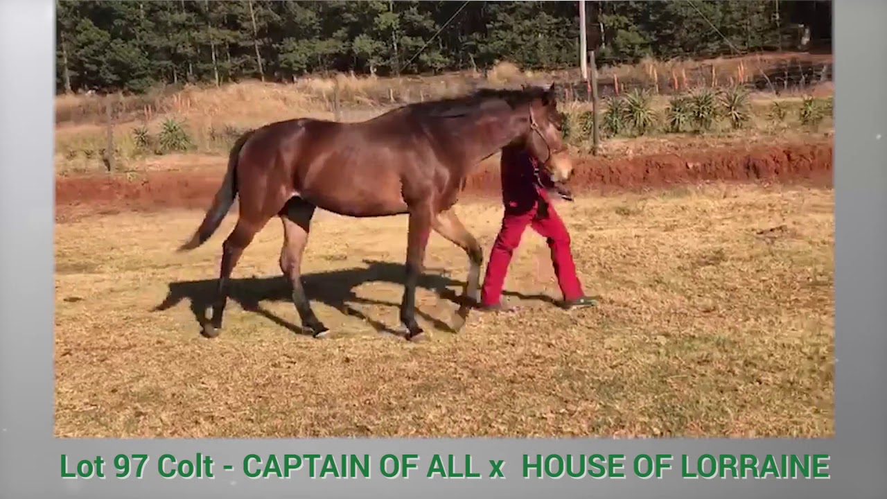 LOT 97 UNNAMED - CAPTAIN OF ALL x HOUSE OF LORRAINE - YouTube