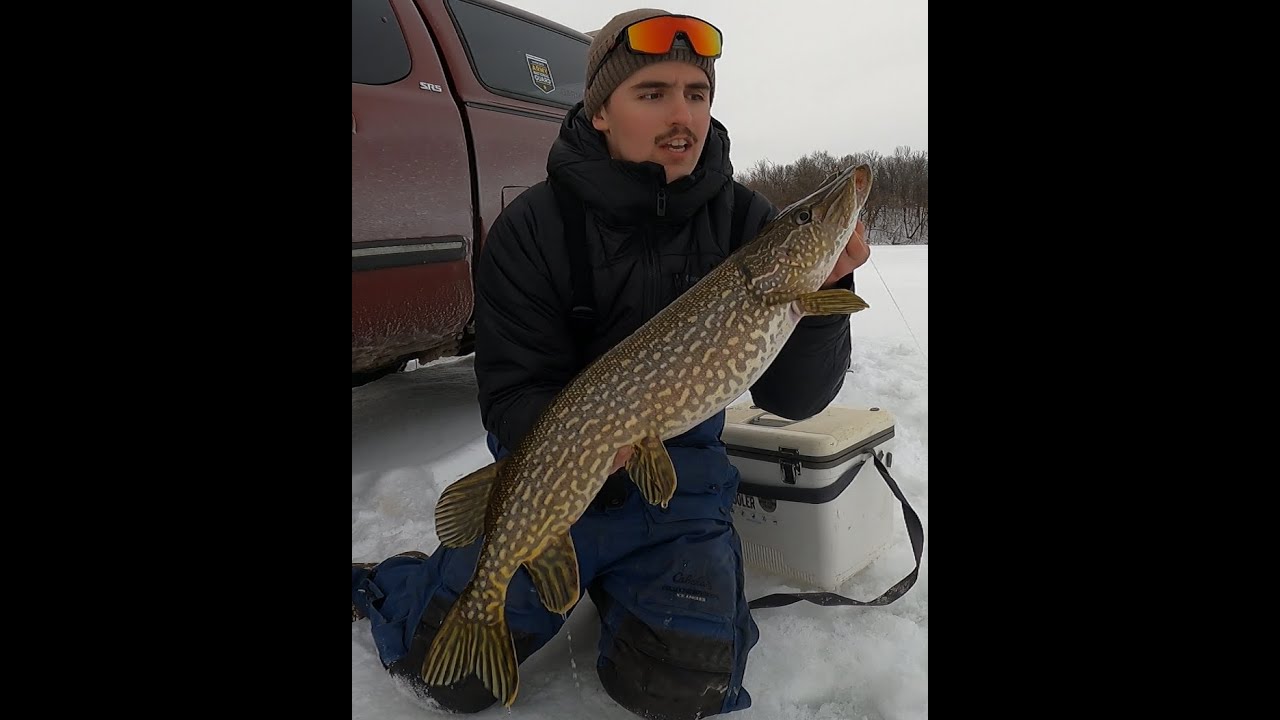 Tips for jigging BIG Northern Pike!! - YouTube