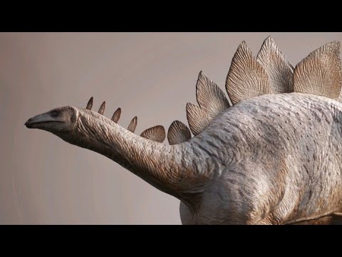 Stegosaurus & Styracosaurus Sounds | Dinosaur Sounds | Mesozoic Animals ...