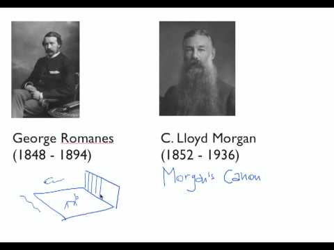 LV1 3 Romanes Morgan Thorndike - YouTube