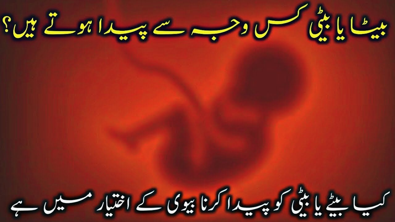 Why is a son or daughter born?| Beta hoga ya beti kaise pata chalta hai ...