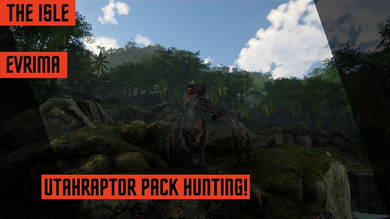 Utahraptor Pack Hunting! - The Isle EVRIMA - Utahraptor Gameplay - YouTube