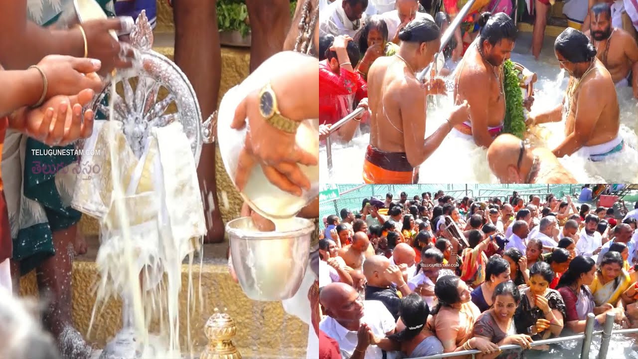 Ratha Saptami 2024 Chakra Snanam At Tirumala Sri Venkateswara Swamy ...