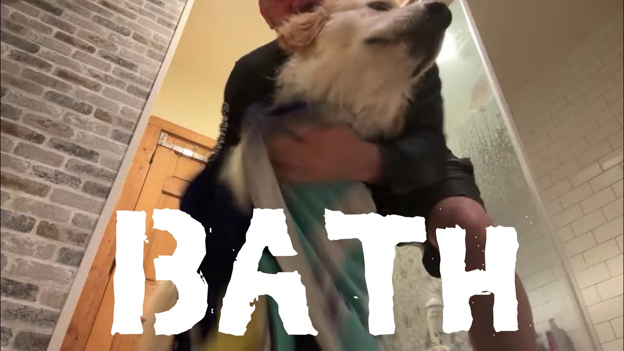 Casper Bath LIVE: BIG DAY TODAY - YouTube