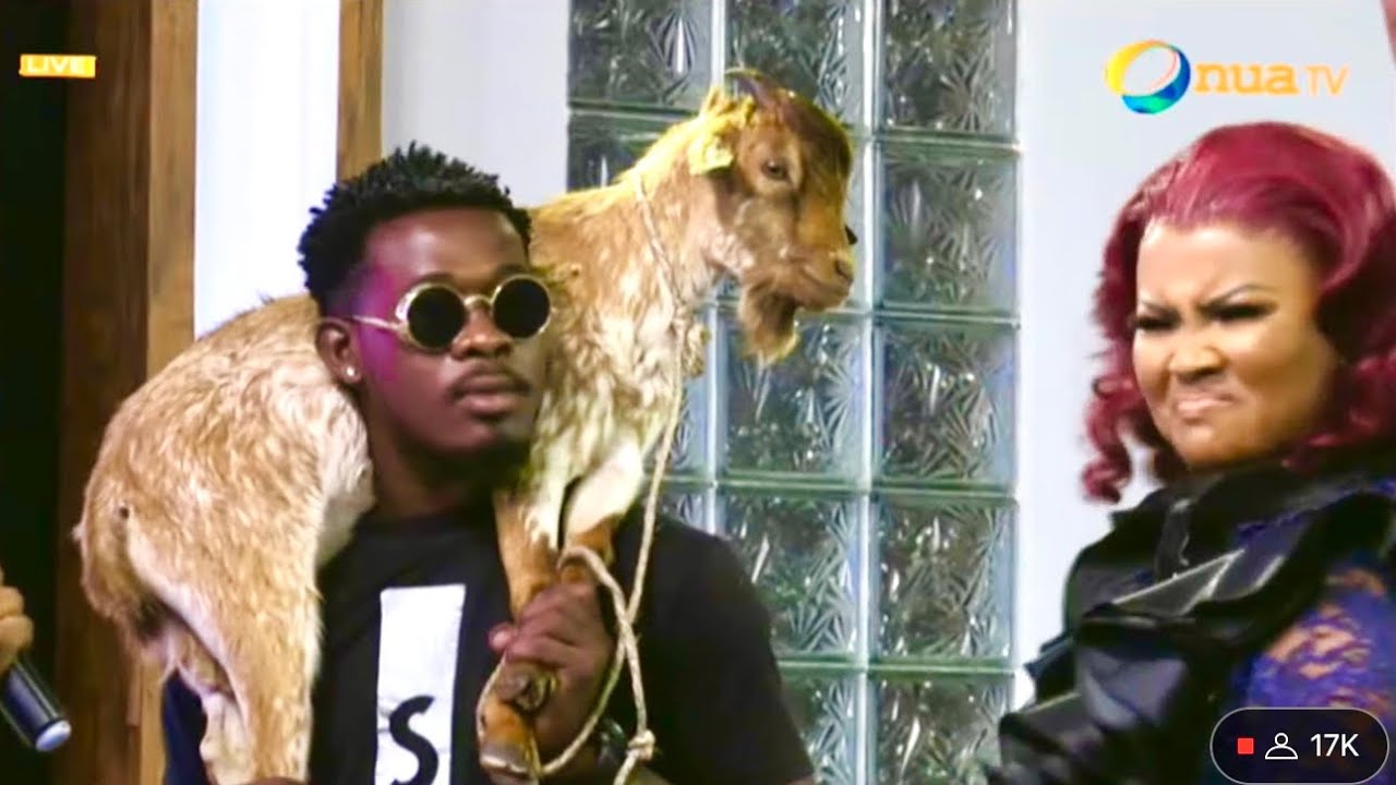 Live Goat ( Aponkye ) captured at Nana Ama Mcbrown’s Onua Showtime on ...