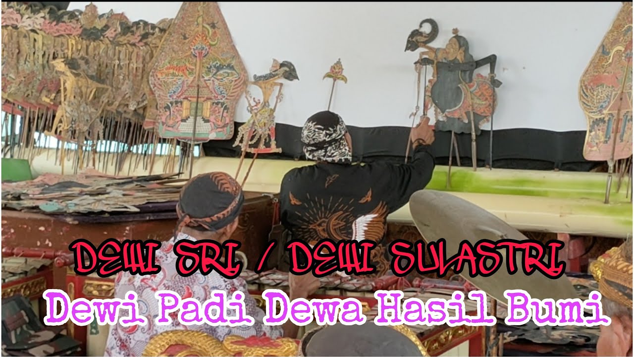 DEWI SRI DEWA PADI ‼️ WAYANG KULIT JAYA LARAS @rijaldosin6075 - YouTube