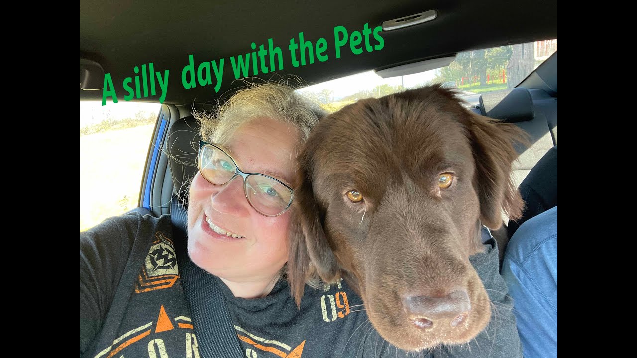 Silly Saturday // Pets // What I eat in a Day // A new drone for Jason ...