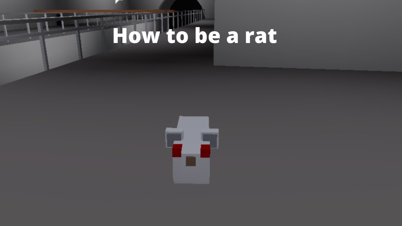 How to be a rat in cook burgers (Roblox) - YouTube