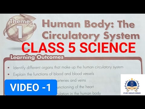 Class 5 science || Class 5 science chapter 1 || Human Body: The ...