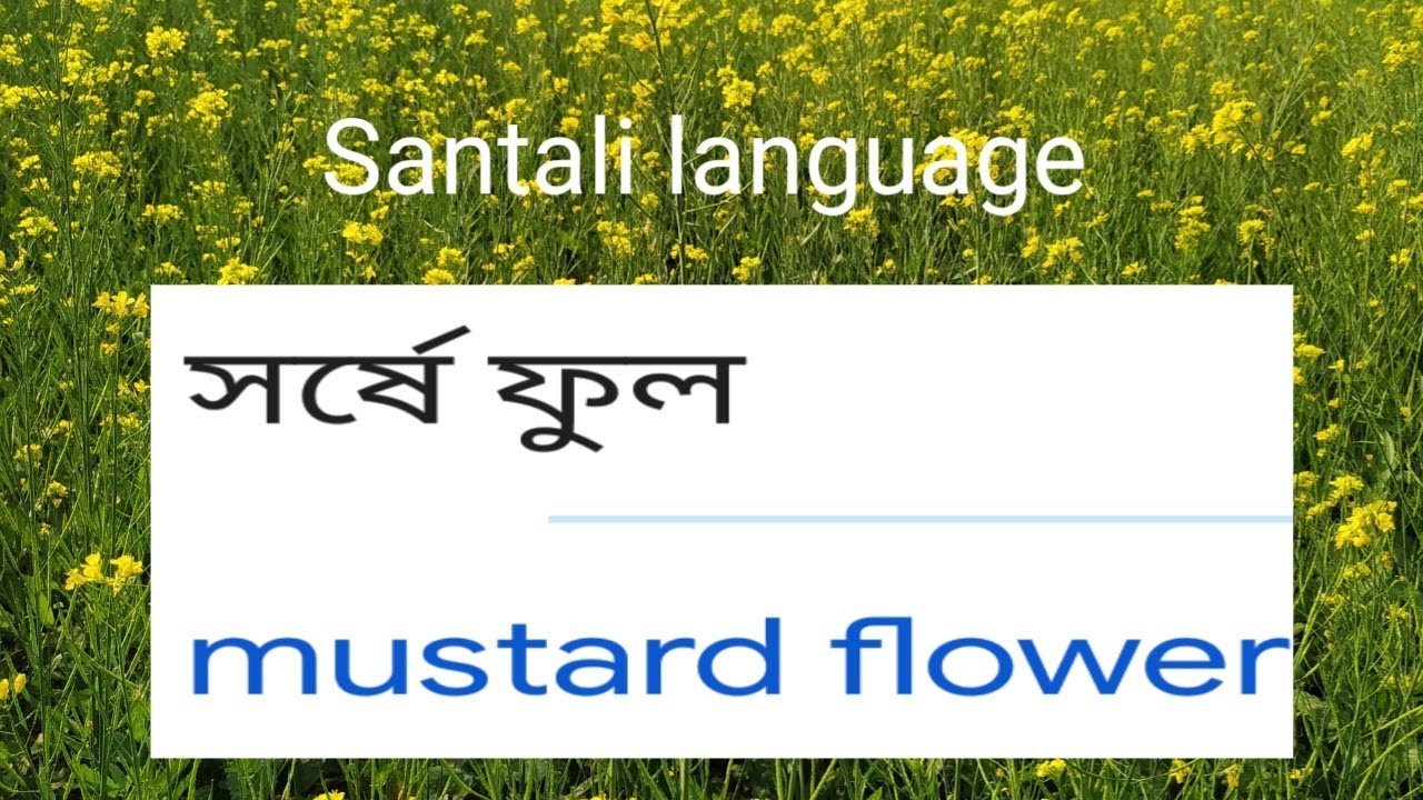 Santali language l Santali language learning in bengali l 5 February ...