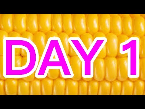 Day 1 | Daily Corn - YouTube
