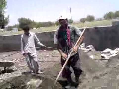 Gulmeli iran reqsi