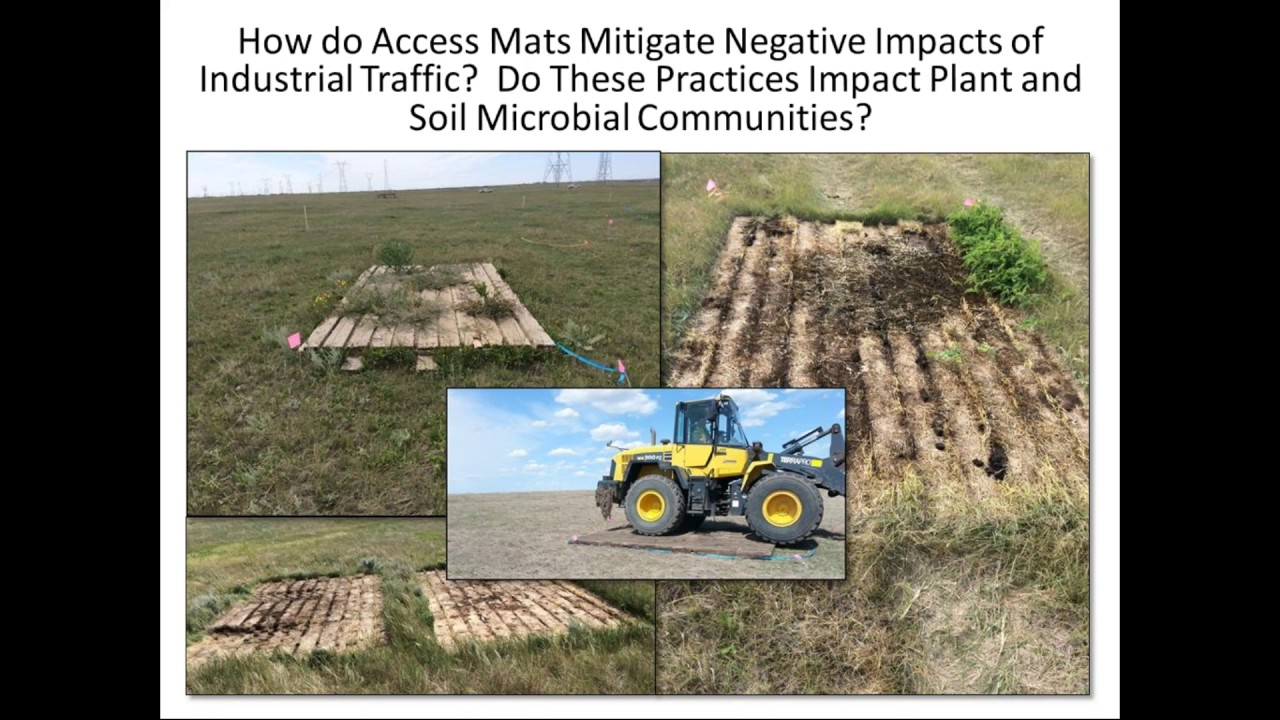 Impacts of Industrial Disturbance on Soil Microbial and Plant ...