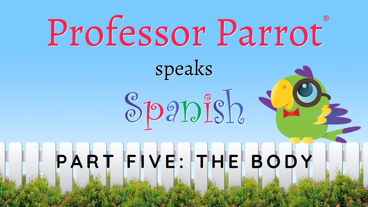 Professor Parrot Speaks Spanish | Part Five: The Body - YouTube