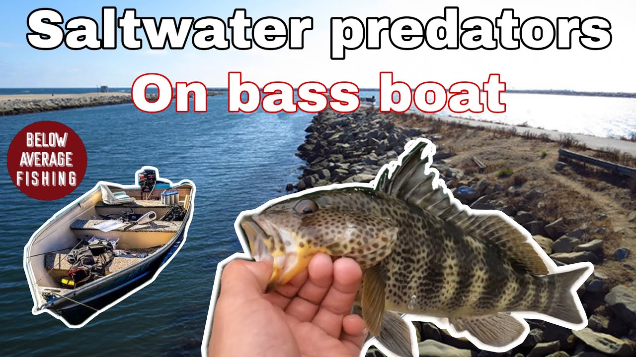 Fishing for saltwater predators | bay boat fishing - YouTube