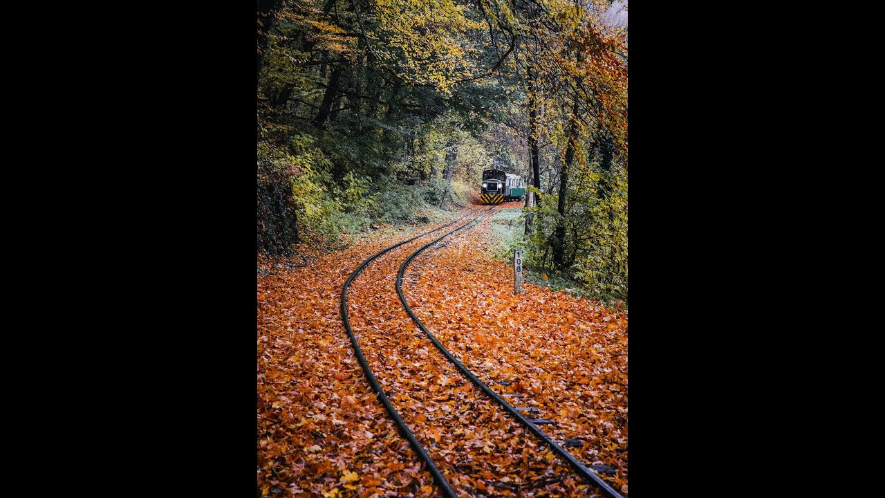 TREN - YouTube